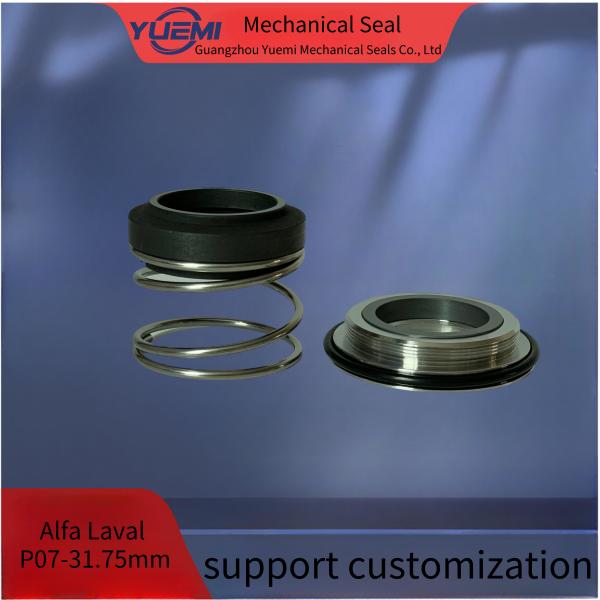 Pompa sanitaria a fine singolo AFL Sigillo meccanico P07-31.75mm sostituire AES