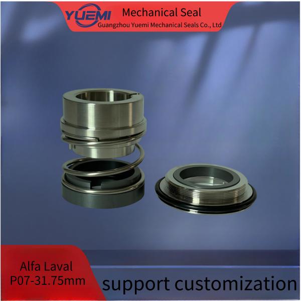 Pompa sanitaria a fine singolo AFL Sigillo meccanico P07-31.75mm sostituire AES