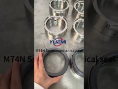 Mehrfederzentrifugal mittlere mechanische Dichtung Industriewasserpumpe M74N