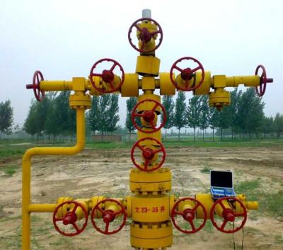 Cina Albero di Natale per pozzi di petrolio a doppio tubo Valvole per albero di Natale PR1 PR2 in vendita