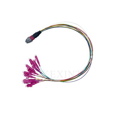 China 12 Cores Fiber Optic Trunk Cable Om4 Mtp/Pc Male - Lc/Upc Fanout 0.9mm 40cm for sale