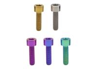 China Customized Titanium Hexagon Socket Head Screws DIN 912 M6 X 20mm Natural Customized for sale
