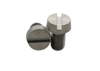 China Customized Titanium Slotted Head Screws For Industrial for sale