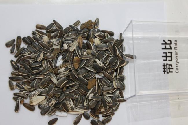 Taiho White Sunflower Seeds Color Sorter Machine China Grain CCD Camera Sorting