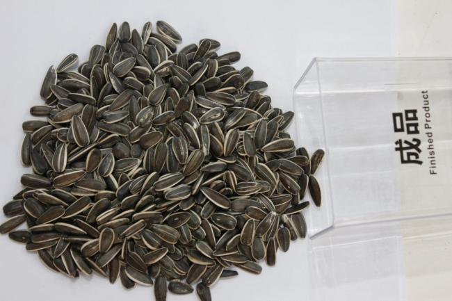 Taiho White Sunflower Seeds Color Sorter Machine China Grain CCD Camera Sorting