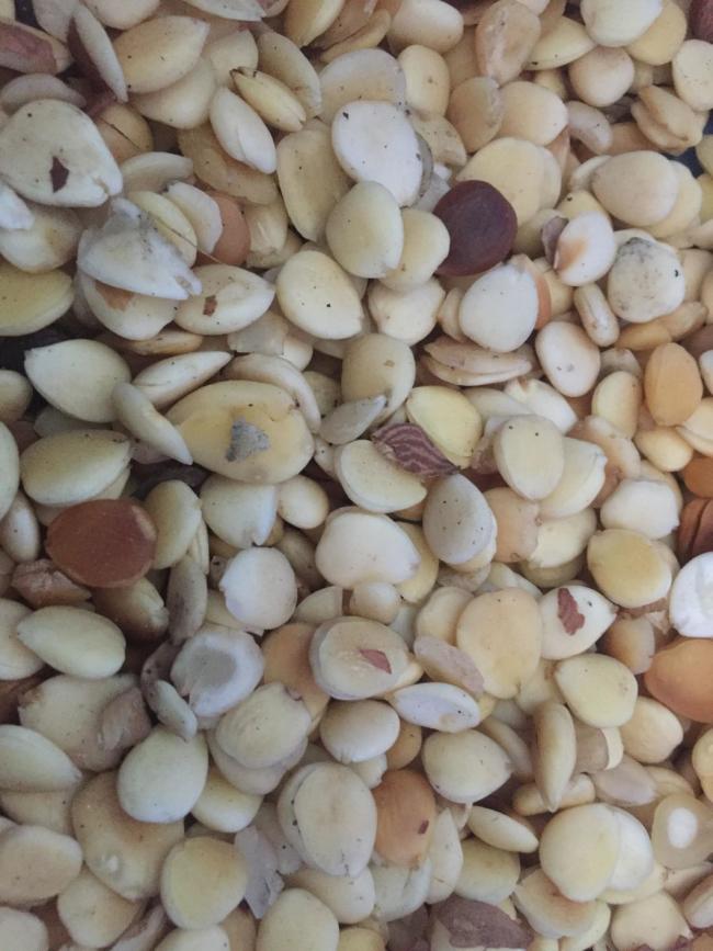 Taiho Almond Nut Color Sorter Machine with CCD Camera