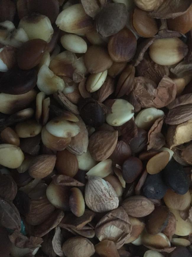 Taiho Almond Nut Color Sorter Machine with CCD Camera