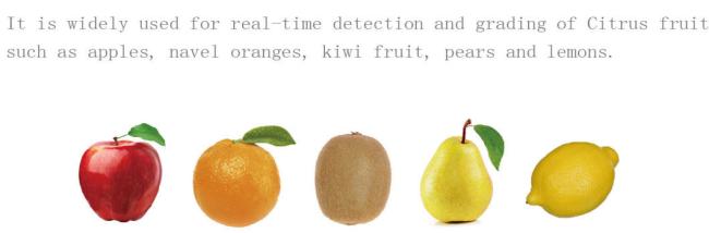 Taiho Intelligent Fruit Grading System Apple/Orange/Jujube/Kiwi/Pear Sorting Machine