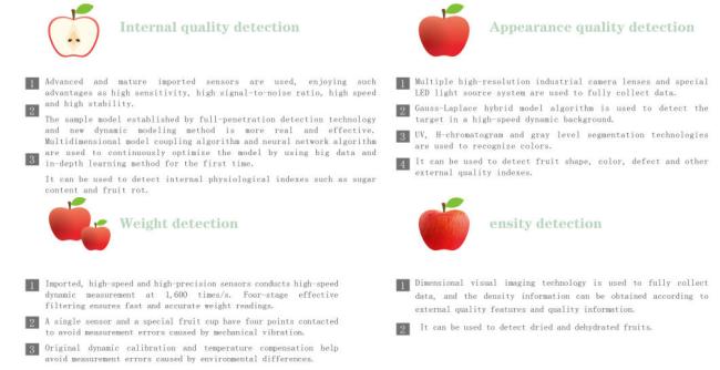 Taiho Intelligent Fruit Grading System Apple/Orange/Jujube/Kiwi/Pear Sorting Machine