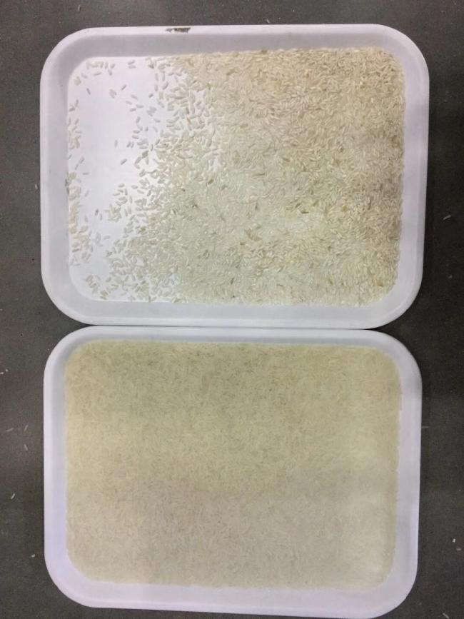 Taiho White Rice Color Sorter Grain Beans Nuts Plastic Sorting Machine