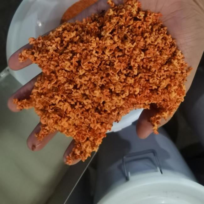 Taiho Automatic CCD Tea Color Sorter with Factory Price