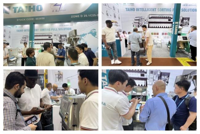 Customized Taiho New Optical Sorter Crop Processing Equipment Garlic Color Sorting Machine
