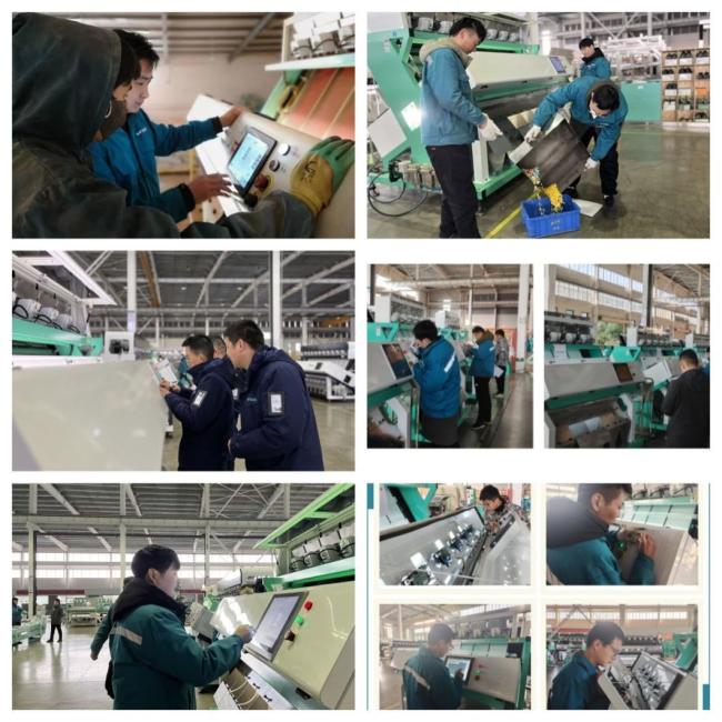 High Output Grain Coffee Bean Rice Color Sorting Machine Grain Grading Machine