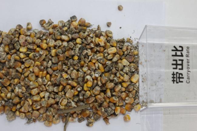 Taiho Rice Processing Machine Grain/Beans/Plastic/Wheat Color Sorting and Packing