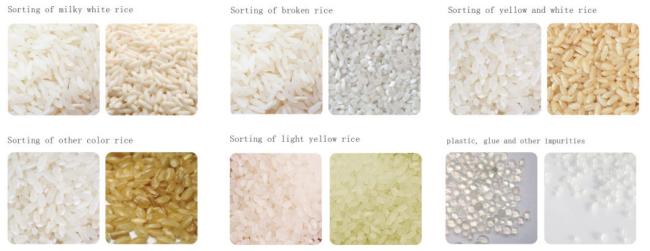 Taiho Rice Processing Machine Grain/Beans/Plastic/Wheat Color Sorting and Packing