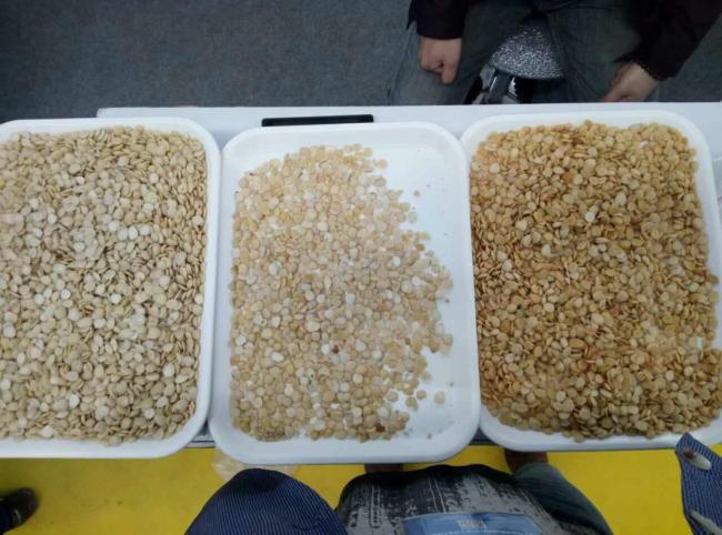 Good Service High Precision Oats Color Sorter Melon Seed Sorting-Machine Optical Sortex