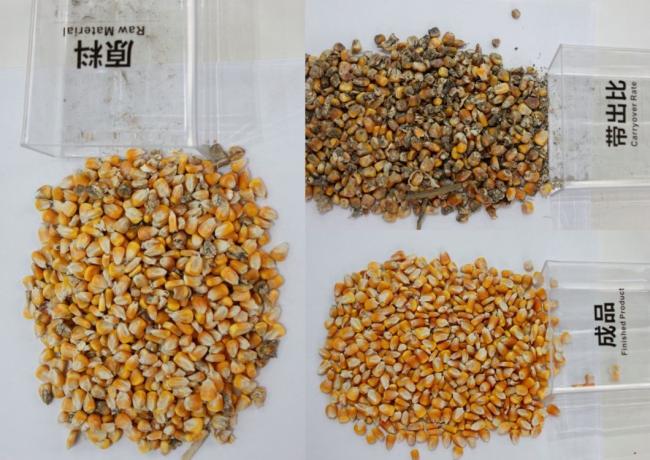 Good Service High Precision Oats Color Sorter Melon Seed Sorting-Machine Optical Sortex