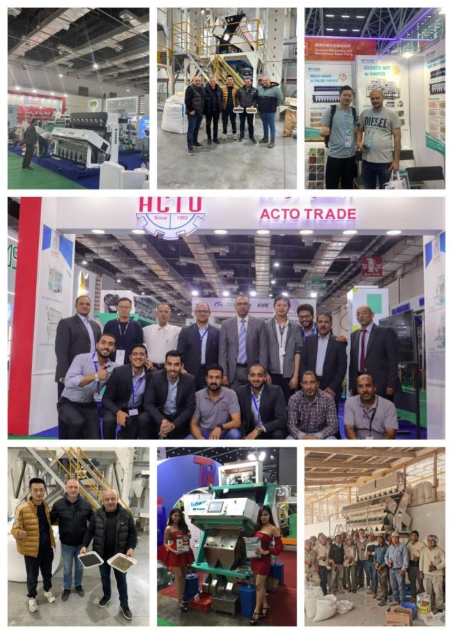 Good Service High Precision Oats Color Sorter Melon Seed Sorting-Machine Optical Sortex