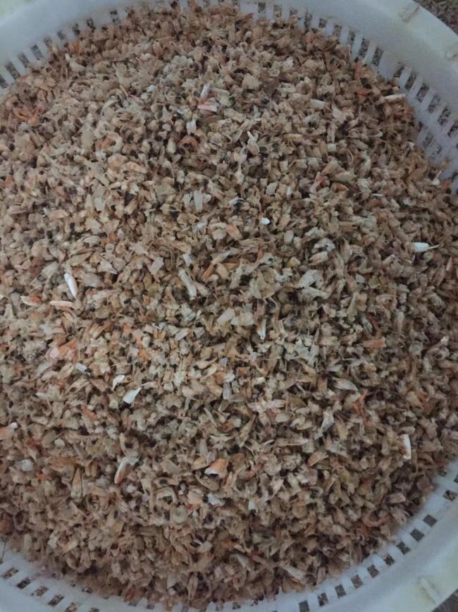 Taiho Intelligent Shrimp Color Sorter Belt Type Seafood Select Processing Machine