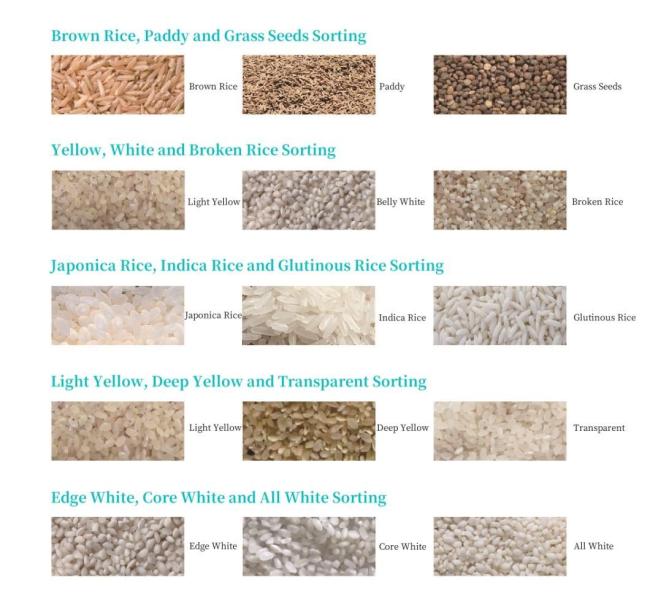 Hot Sale Taiho Bean Wheat Rice-Machine Price Sorter Machinery Rice Optical Sorter-Machine