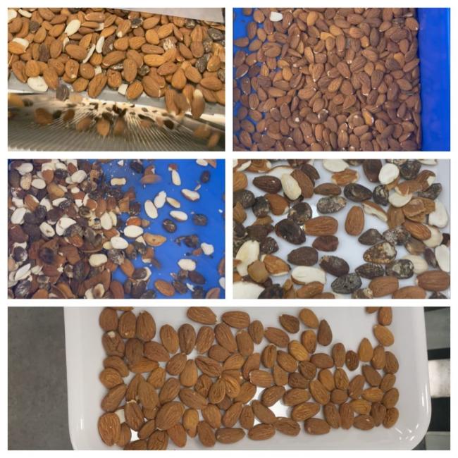 High Quality Taiho Sortex Machinery Cashew Sorting-Machine Chickpeas Seed Separator Machine Price