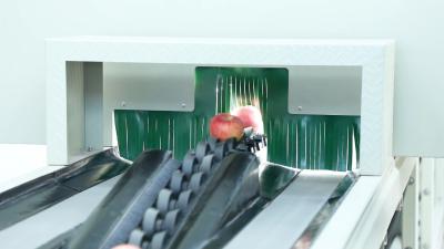 China High Quality Taiho Kumquat Kiwi Lemon Cherry Processing Fruit Grading Packing Machine for sale