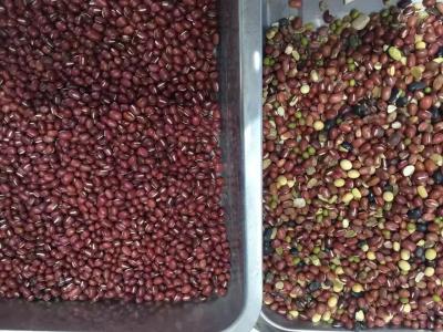 China Taiho Colour Sorter Melon Seed Sesame Soybeans Cowpea Color Sorting Machine Manufacture for sale