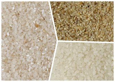 China 2000.000kg Customized Taiho Corn Sorting Machinery Rice Optical Sorter Machine With 630 Channels for sale