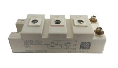중국 자유로운 높은 쪽으로 Trans IGBT 단위 SKM75GB123D N-CH 1200V 75A 7 Pin 케이스 D-61 래치 판매용