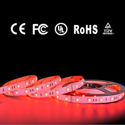 Cina Bassa striscia d'organizzazione lineare flessibile della luce di RGB WW della luce di striscia di tensione 5050 LED in vendita