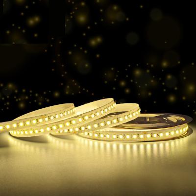 Cina 12V basso progetto d'accensione all'aperto della striscia 168LEDs di tensione SMD 2835 LED in vendita