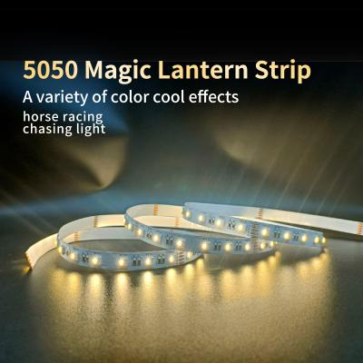 China Tenda foranea al neon flessibile 5050 RGBW quattro della luce dell'acqua corrente della luce di striscia in uno for sale