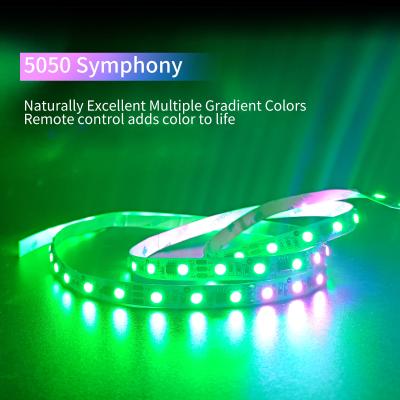 China Colore flessibile della striscia della luce di 5050 colori pieni che cambia le strisce leggere principali 60pcs/m for sale