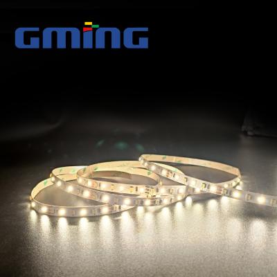 China Flexible SMD 2835 LED Strip 12V Low Voltage 25mm Length 12W Remote Control for sale