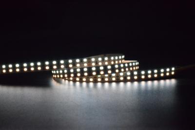 Cina Luce di striscia di bassa tensione 12V 24V SMD 5050 LED con la certificazione dell'UL in vendita
