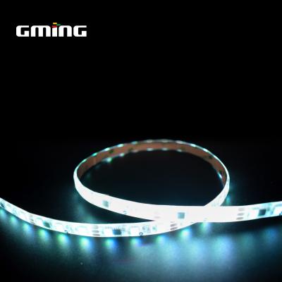 Cina La goccia impermeabile della colla Ip65 ha condotto il colore pieno dello scorrevole leggero esterno della striscia 5050 Smd Ws2811 in vendita