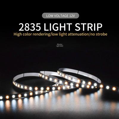 China Certificato CE Striscia Led 2835 Smd Illuminazione Esterna Doppia Temperatura Colore 120 Perle for sale