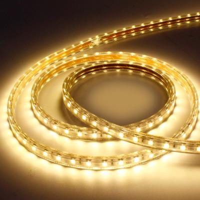 Cina corpo di rame 3528/5050 IP/20/65/67/68 della lampada delle strisce flessibili di 12v/24v SMD LED in vendita
