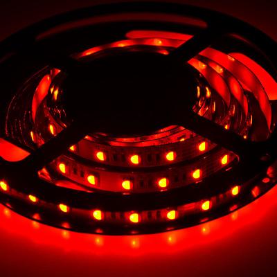 Cina CC di alluminio bianca calda 12V 5M della striscia di Digital RGB LED 5050 con l'ampio angolo di visione in vendita