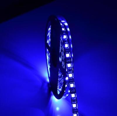 Cina Materiale IP20/IP44/IP54/IP67 del corpo della lampada del rame della striscia principale Rgb di SMD2835 Dimmable in vendita