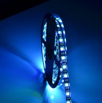 Cina Materiale IP20/IP44/IP54/IP67 del corpo della lampada del rame della striscia principale Rgb di SMD2835 Dimmable in vendita