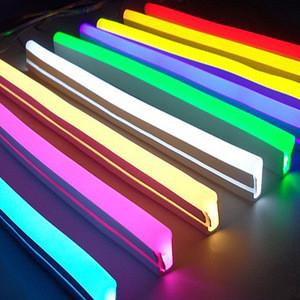 Cina Luci del nastro della striscia principali IP65, colore principale flessibile che cambia la metropolitana al neon della corda della striscia leggera in vendita