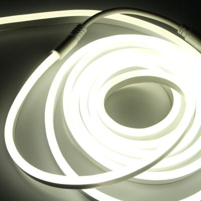Cina CC rotonda principale flessibile 12V/24V del neon di Rgb delle lampade fluorescenti 5050 di Smd della decorazione all'aperto in vendita