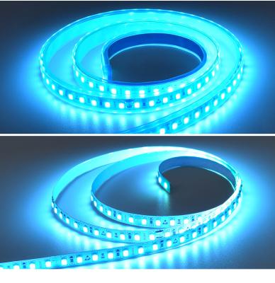 China 120º Lichten van de straalip68 12W 60LEDs/m 460nm de SMD Geleide Strook Te koop