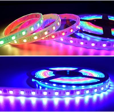 Cina Luce di striscia magica telecomandata di 1903IC IP68 12W LED in vendita