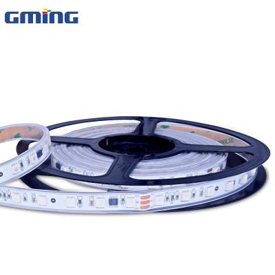Cina Colore impermeabile di IP67 12W SMD5050 che cambia striscia principale in vendita