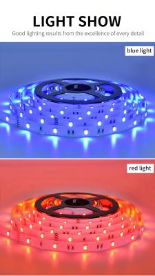 China Programmierbares LED 5050 RGB Licht 12/24VDC 270-300lm 14.4W zu verkaufen
