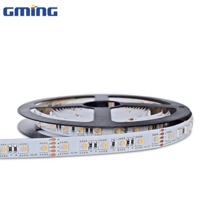 China Wasserdichtes IP65 IP20 25LM 25W Digital Rgb führte Streifen zu verkaufen