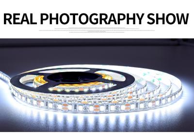 China Onderwater RGB LEIDENE van 12/24VDC Ip68 16W 120leds/m Strook 630nm Te koop