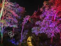 Quality 10°C-35°C Amazing Laser Light Show Perfect stable operation For Big Events for sale
